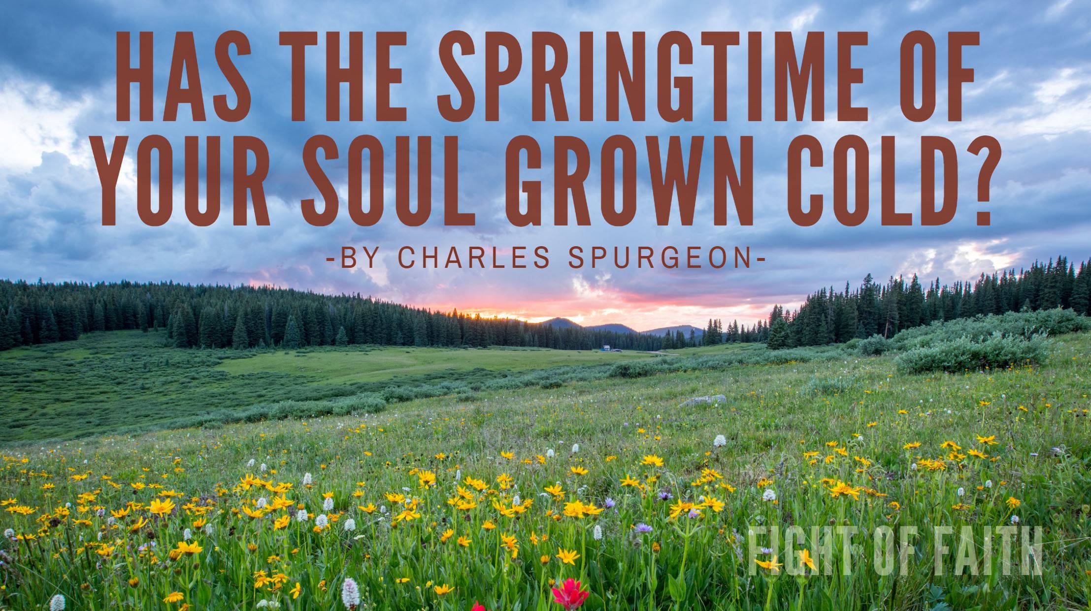 Has the Springtime of Your Soul Grown Cold? – The Fight of Faith