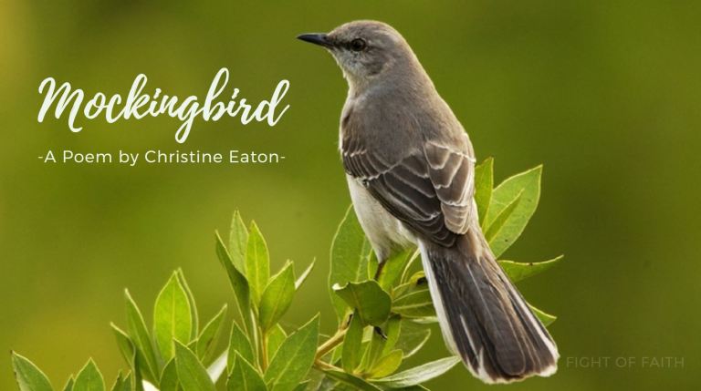 Mockingbird [Poem] – The Fight of Faith